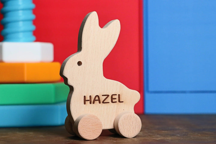 Wooden Turtle Toy
