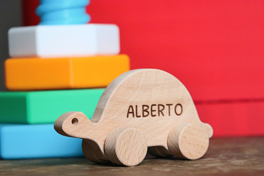 Wooden Turtle Toy