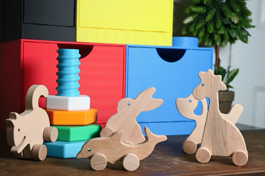 Wooden Turtle Toy